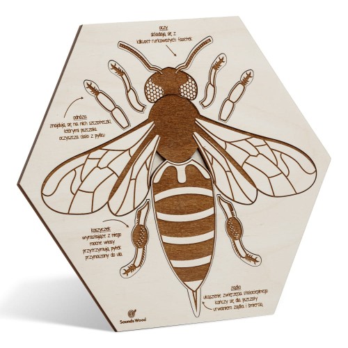 Educational wooden puzzle „Busy bee” Bee anatomy Sounds Wood